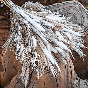 86PCS Natural Dried Pampas Grass Bouquet,Boho Home Decor Bouquet, Phragmites Dried Flowers,Bouquet for Wedding Floral Arrangements Home Decorations