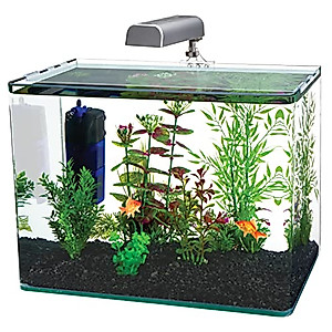 PENN-PLAX Water-World Radius Desktop Nano Aquarium Kit – Includes LED Light, Internal Filter, and Mat – Perfect for Shrimp and Small Fish – 5 Gallon Tank