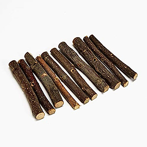 Kaytee Apple Orchard Sticks, 10 Count