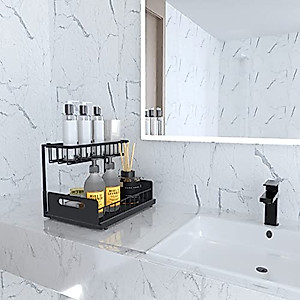 Under Sink Organizers and Storage, Bathroom Organizer Under Sink with Sliding Storage Drawer, 2-Tier Pull Out Kitchen Cabinet Sink shelf, Multi-purpose Under Sink Shelf for Bathroom Kitchen, Black