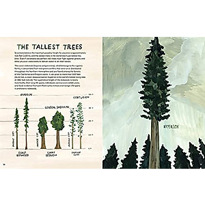Trees: An Illustrated Celebration