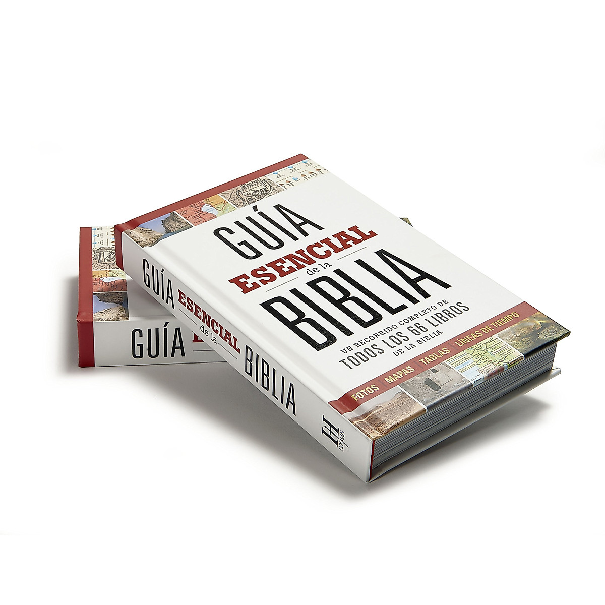 Guía esencial de la Biblia | Ultimate Bible Guide (Spanish Edition)