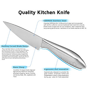 WELLSTAR Chef Knife, 6 Inch Kitchen Chef’s Knife Sharp High Carbon Stainless Steel Cooking Knife for Meat Sushi Vegetable Fruit Cutting Slicing Dicing, Useful Kitchen Gadget