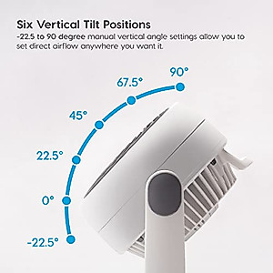 IRIS USA WOOZOO Air Circulator Fan, Vortex Fan, Desk Fan, Portable Fan, 3 Speed Settings, 6 Tilting Head Settings, 74ft Max Air Distance, Large, Black