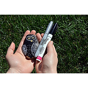 SHARPIE Oil-Based Paint Marker, Fine Point, Black, 1 Count - Great for Rock Painting