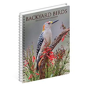 Willow Creek Press Backyard Birds Softcover Weekly Planner 2024 Spiral-Bound Engagement Calendar (6.5" x 8.5")