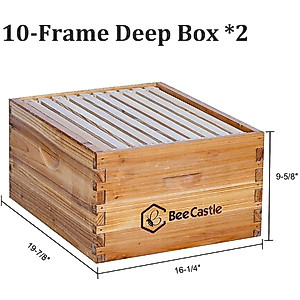 BeeCastle 10 Frame Langstroth Bee Hive Coated with 100% Beeswax Includes Beehive Frames and Waxed Foundations (2 Deep Boxes & 2 Medium Boxes)