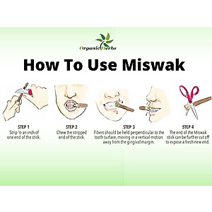 Organic Herbs Traditional Natural Miswak (sewak) Peelu Chewing Stick Toothbrush for Whiter Teeth -20 Pc