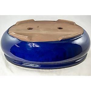 Calibonsai Oval Glazed Bonsai / Succulent Pot + Tray + Mesh 12''x 8.5''x 3.75'' - Dark Blue