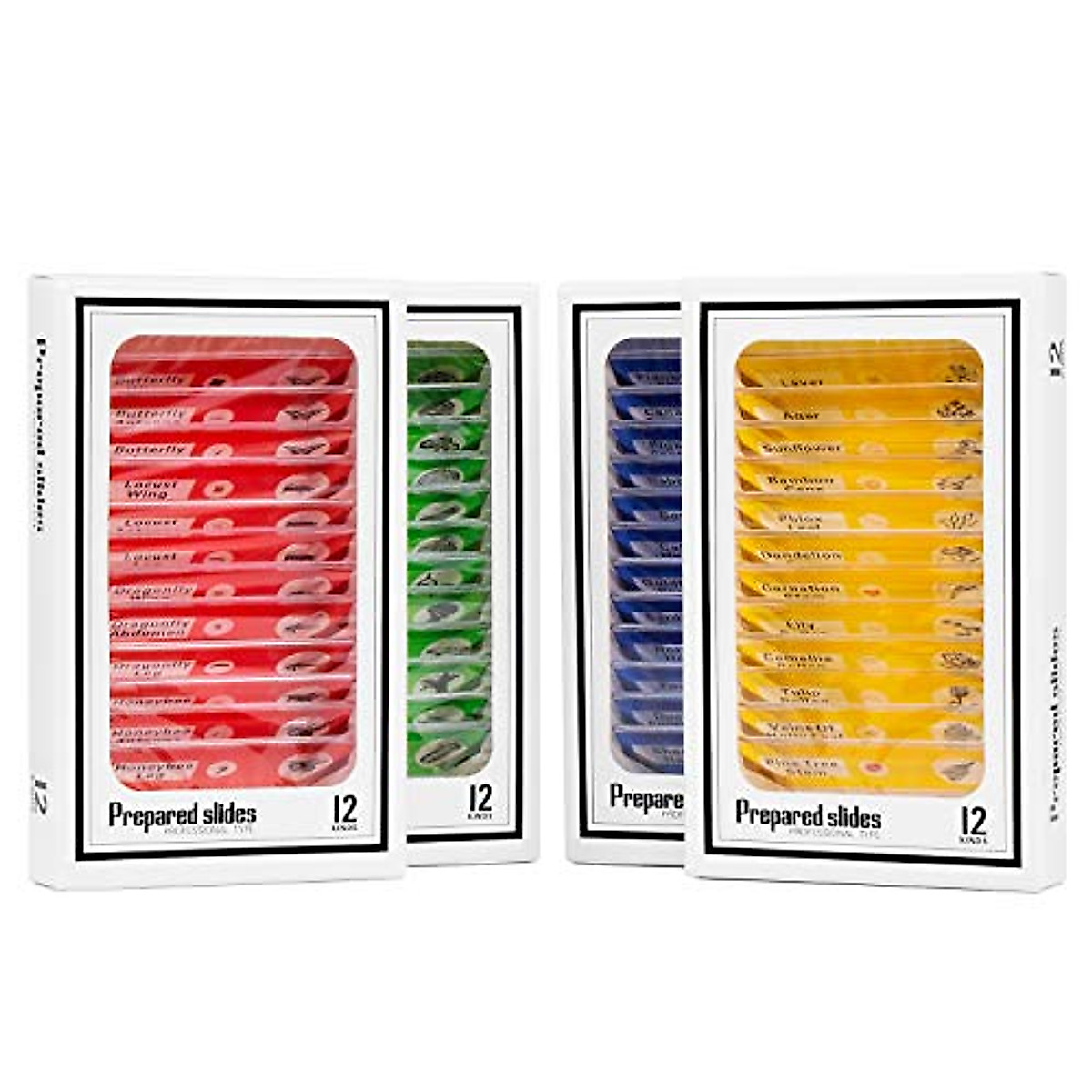 LINKMICRO 48pcs Prepared Plastic Microscopes Slides with 4 Types of Glass Biological Specimen for Kids Students