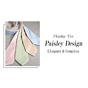 TaecMin Sage Tie Dusty Green Ties for Men Paisley Neckties and Pocket Squares Set for Weddings