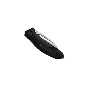 Kershaw Turismo Leaf Blade Pocket Knife 2.9 inch Blade, Assisted Opening Frame Lock, 5505, Black, 2.8 Ounce