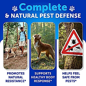 Flea and Tick Prevention for Dogs Chewables - Made in USA - Natural Flea and Tick Supplement for Dogs - Oral Flea Pills for Dogs - Pest Defense - All Breeds and Ages