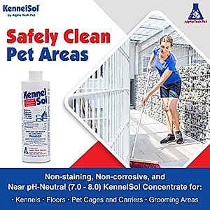KennelSol 1-Step Kennel Cleaner - Liquid Concentrate Disinfectant and Deodorizer, Effective Against Bacteria and Viruses - 1 Pint