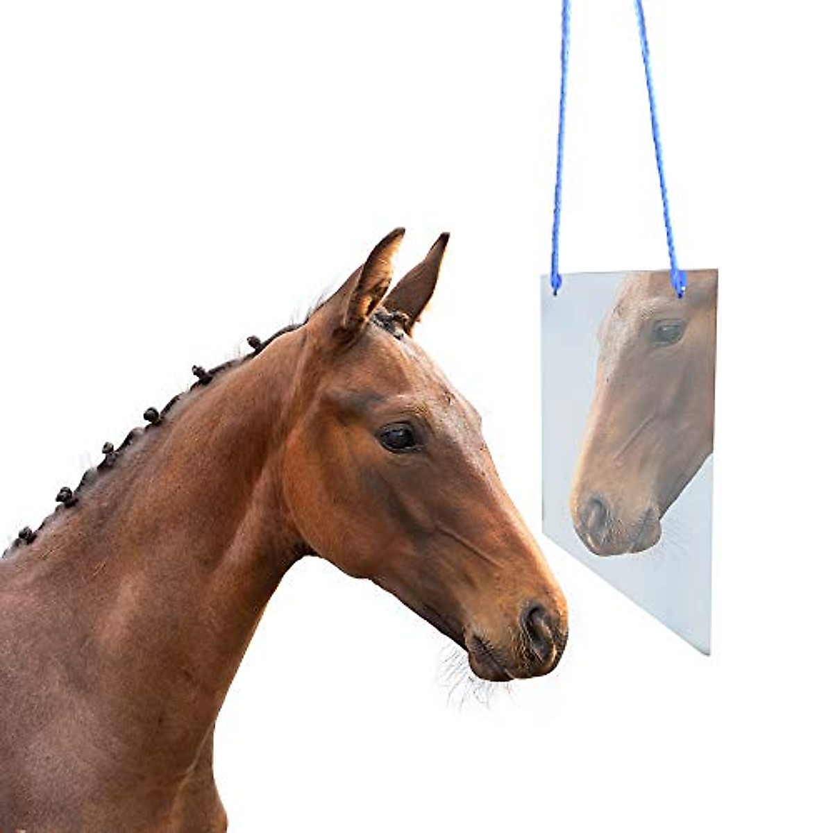 YUYUSO Horse Mirror Toy Hanging Pony Calming Mirror for Stable Barn Stall Toy Entertainment