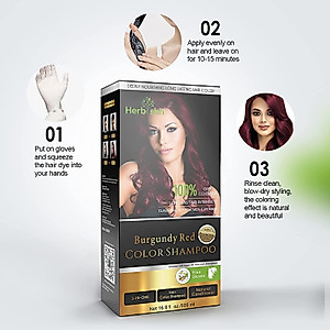 Combo Pack - Herbishh Color Shampoo for Gray Hair + Argan Intense Hair Mask - Long-lasting Dye, Colors in Minutes - Stimulates Dry, Frizzy Hair - 500 ml (Burgundy)