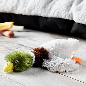 Vibrant Life Large 18" Duck Training Toy Chew Level 1