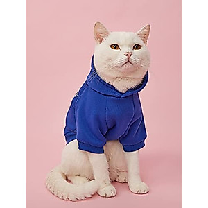 QWINEE Dog MOM BOY Letter Print Hoodie Sweatshirt Cat Puppy Shirt Clothes for Small Dogs Kitten Kitty Multicolor XL