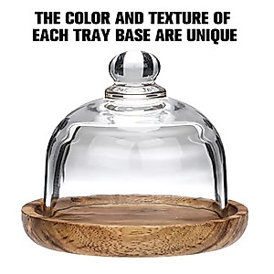 Yardwe 2 Sets Glass Dome with Wooden Base Mini Cake Stand Glass Display Dome Cloche Clear Glass Bell Jar Cover for Dessert Cheese Candy Plants Succulents (4.1 x 3.7 Inch)