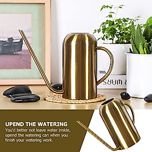 1pc Stainless Steel Watering Can Small Kids Watering Can Flower Watering Pot Spout Watering Pot Garden Water Pot Garden Watering Can Hand Watering Can Water The Flowers Tool Child