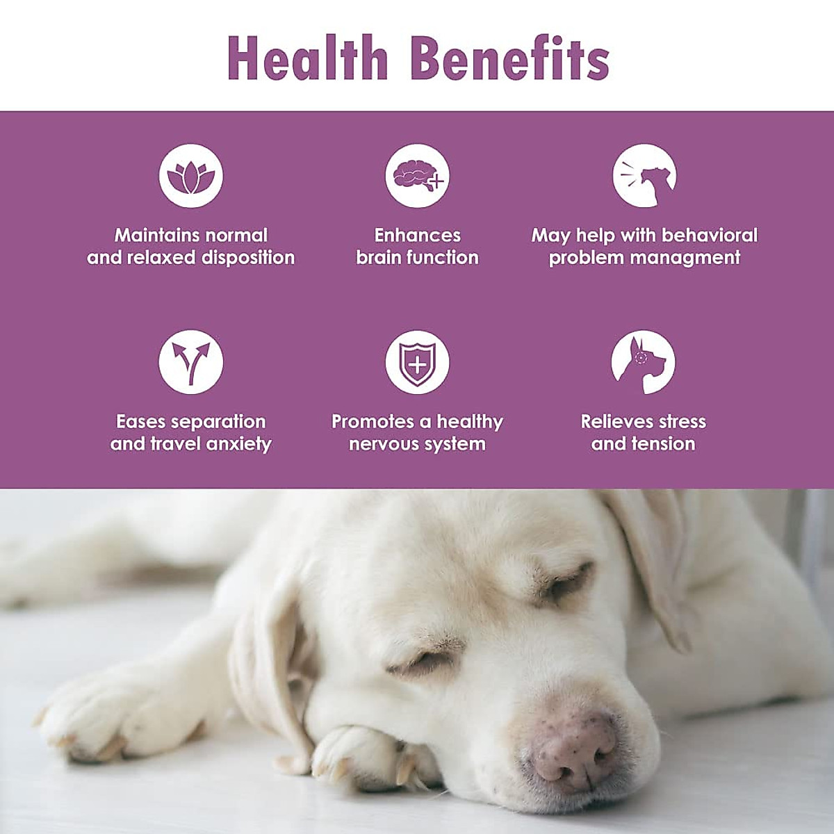 TranQuil-Chews for Dogs - Contains Chamomile, L-Tryptophan, and Melatonin - Relieves Stress and Tension - Ease Travel and Separation Anxiety - 180 Soft Chews