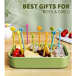 152PCS Food Picks for Kids, SEANSDA Fun Kids Food Picks for Picky Eaters, Cute Animal Fruit Toothpicks, Reusable Toddler Food Pick, Kids Lunch Accessories for Bento Box - BPA Free