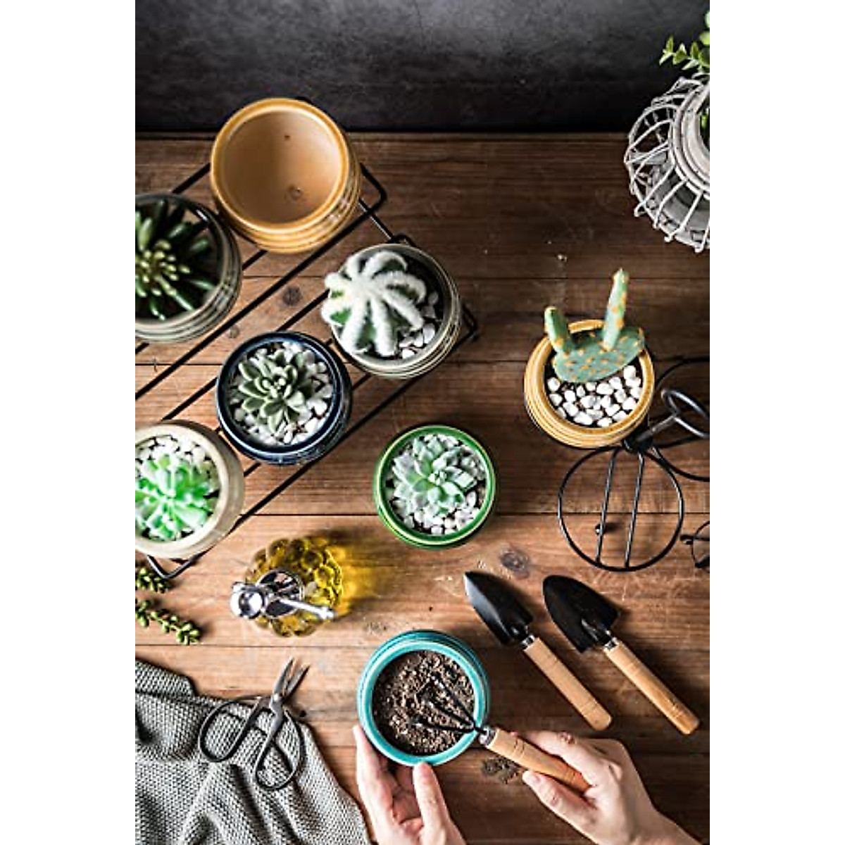 Succulent Plant Pots Stand 6pcs Indoor Plants Live 2 Tier Decorative Ceramic Small Plant Pots with Stand Holder Mini Flower Pots Gifts for Plant Lovers Home Office Desk Garden Mini Cactus Pot