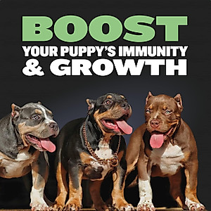 Bully Max Puppy Growth & Nutrition Bundle - High Protein Natural Dry Dog Food (5lb Bag) & Wet Dog Food (2 Dry lb, Makes 5.5 lb of Wet Food) for Small & Large Breed Puppies - Lamb & Chicken Flavors