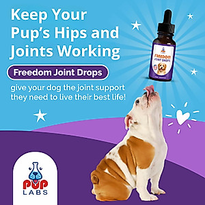 Pup Labs Freedom Joint Drops - Dog Joint Support Supplement with Human-Grade Ingredients - No Fillers, Preservatives, Additives, or Artificial Ingredients, 30 ml Dropper