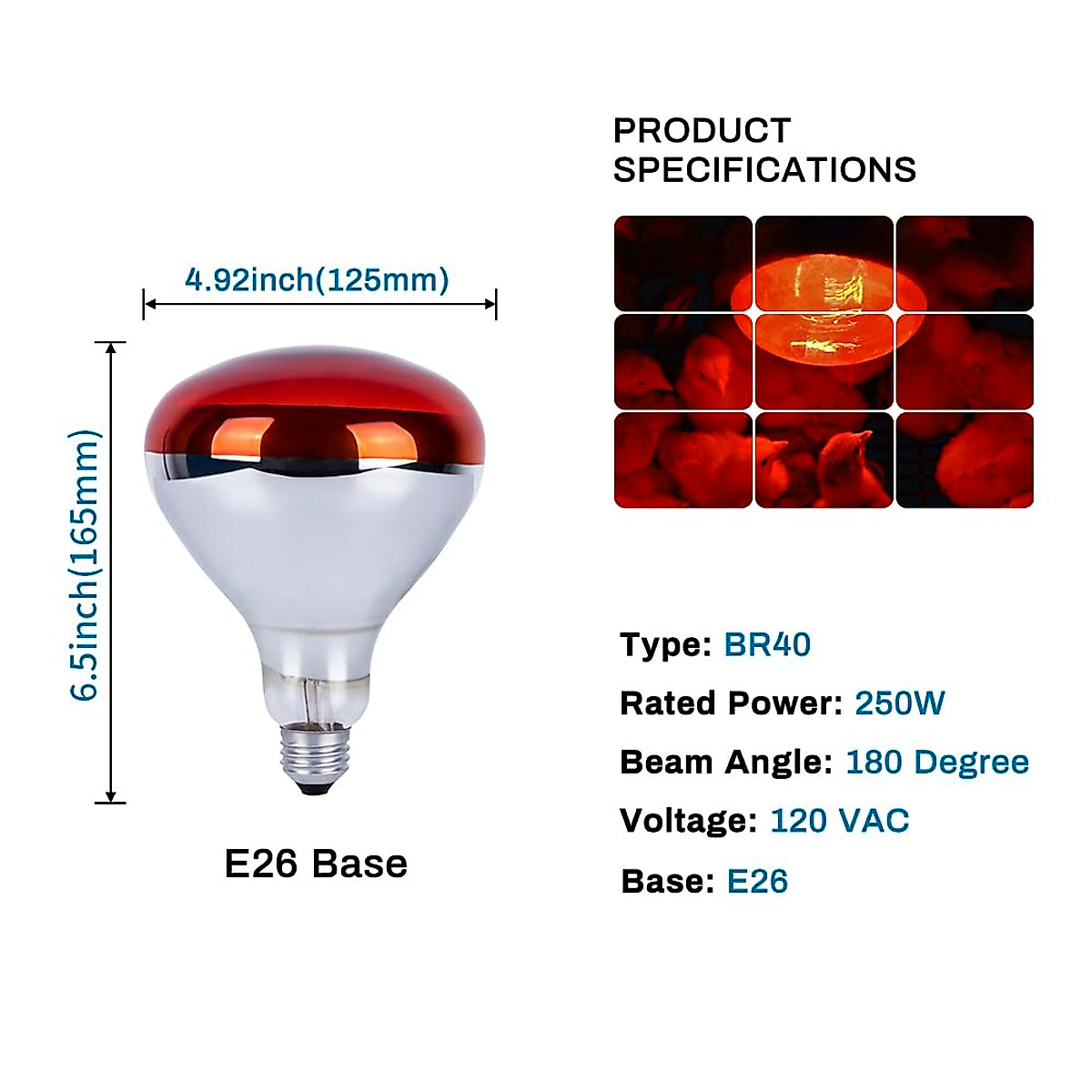 4 Pack 250 Watts Heat Lamp Bulbs, R40 Brooder Heat Lamp for Chickens, Infrared Reflector Heat Bulbs for Brooder Heater, Incandescent Heating bulb for Pet, Light Therapy, Bathroom, Food