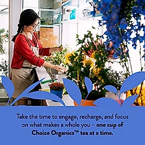 Choice Organics - Organic Decaffeinated Earl Grey Tea (6 Pack) - With Bergamot - Fair Trade - Compostable - 96 Organic Black Tea Bags