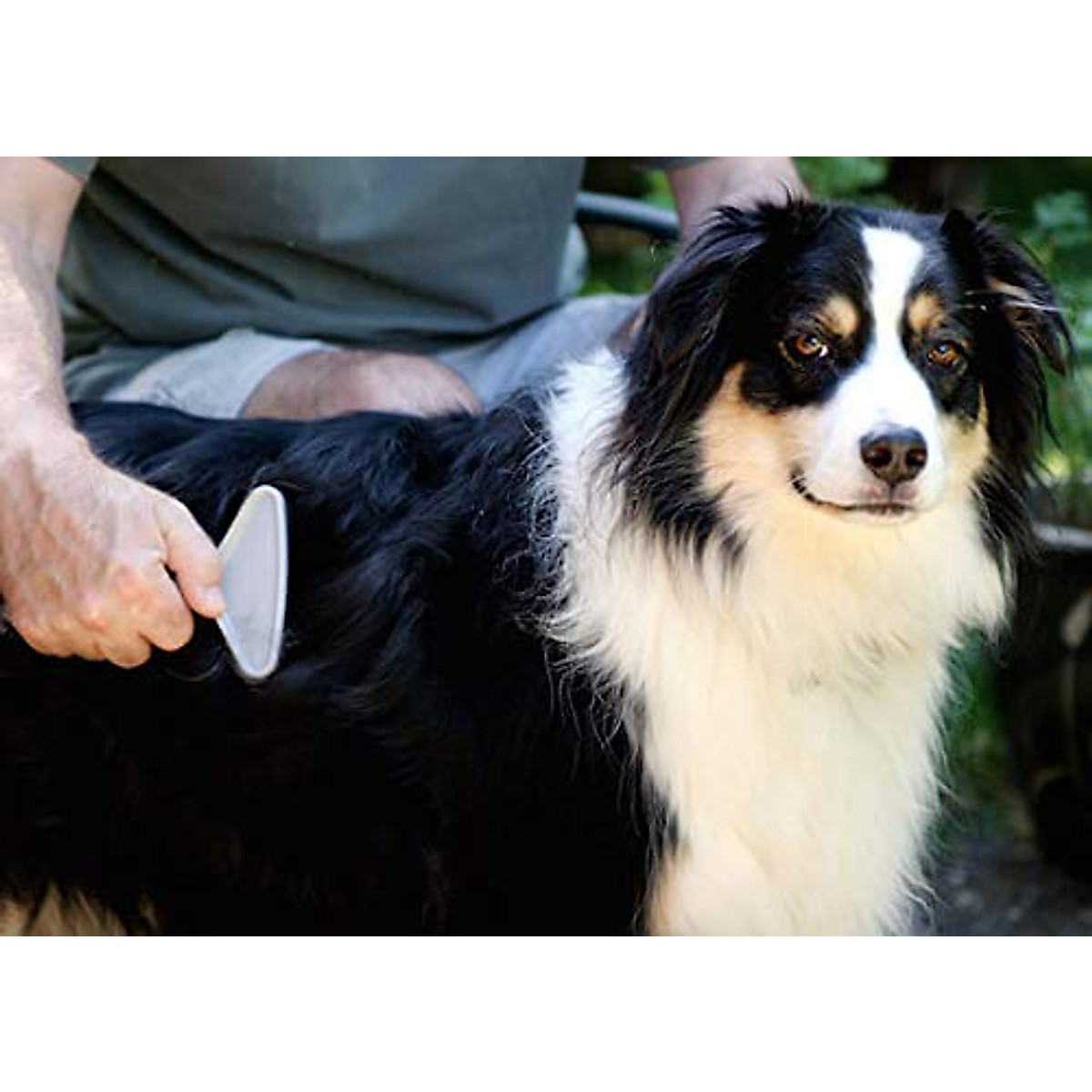 I LOVE MY PETS LLC Dog Immune Treats - Dog Healthy Hair and Coat - Premium Formula - Chews - Vitamin e for Dogs Skin - 60 Treats (1 Bottle)