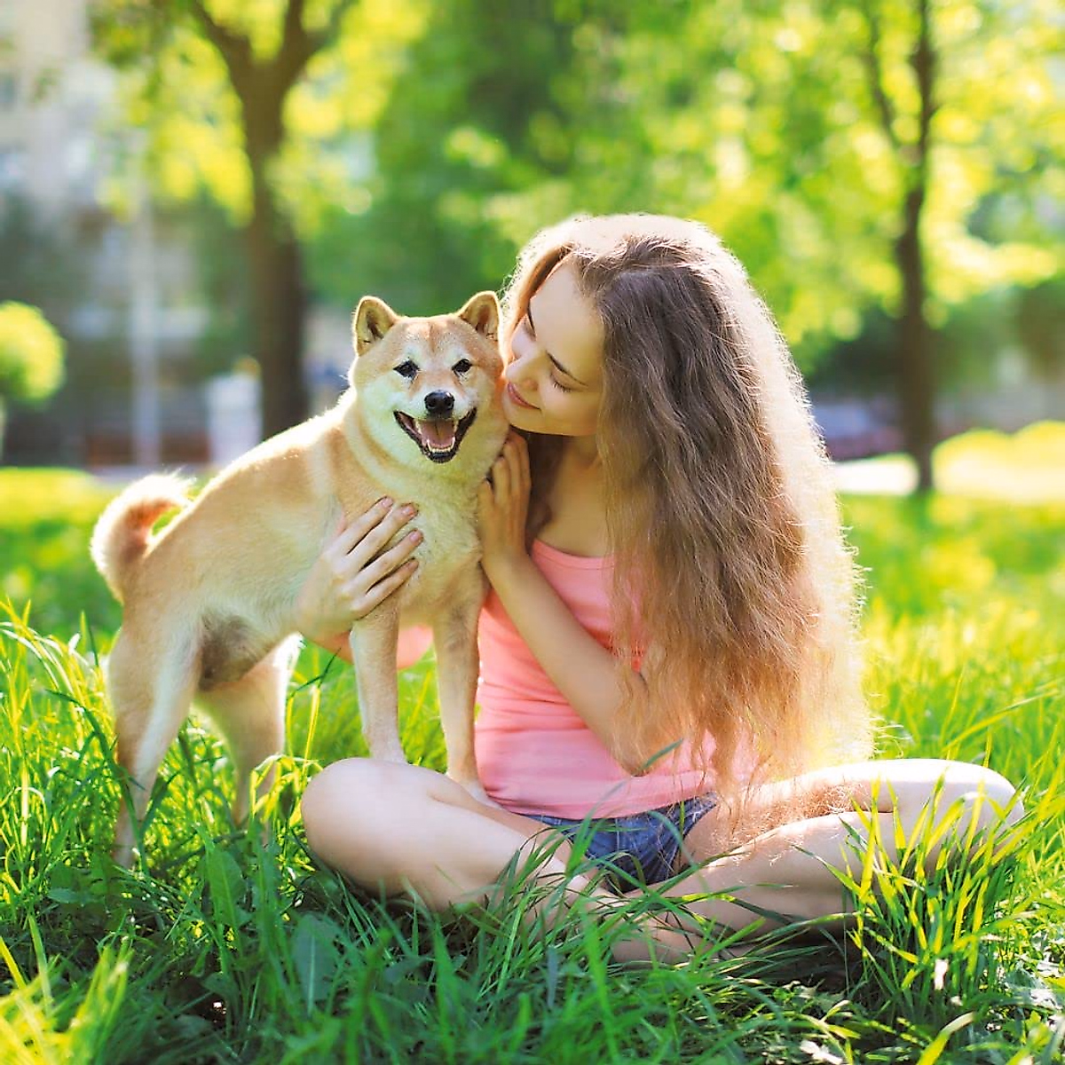 Merrick Fresh Kisses Oral Care Chews Dental Dog Treats with Coconut - Small Snacks for Pups 15-25 Lbs (9 Count) - Plus Rope Toy and Fun Animal Facts Booklet Bundle