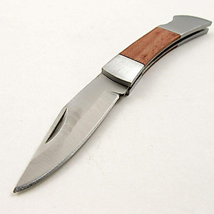 FOLDING POCKET KNIFE Low-Cost Small Silver Carbon Sharp Blade Wood Classic Lockback Hunter Knife