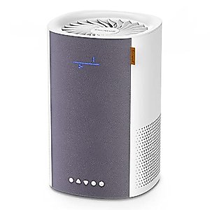 ECOWELL H13 True HEPA Filter Air Purifier, Desktop Air Cleaner with Colorful LED Display, Removing 99.97% of Smoke, Dust, Odors, Pet Dander, Model: EAP050, White & Gray, 7.48 * 7.48 * 11.61”
