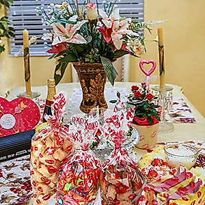 120 Pieces Valentine Cellophane Bags Valentine Gift Bags Valentine Treat Bags Goodies Bags with 150 Pieces Twist Ties for Valentine Party Favor Supplies