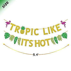 Tropic Like Its Hot Banner for Summer Tropical Hawaiian Luau Flamingo Birthday Party Bachelorette Party Decorations
