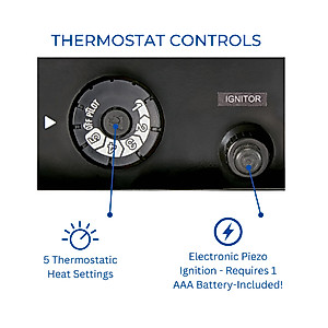 Duluth Forge 22" Ventless Dual Fuel Gas Log Set - 32,000 BTU, Thermostat Control, Natural Gas/Propane, Hand-Painted Winter Oak, Realistic Ceramic Logs, Oxygen Depletion Sensor, 99.9% Efficient