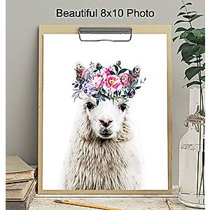 Baby Llama Wall Decor - Flower Crown Alpaca Wall Art Decoration for Girls Bedroom, Kids Room, Nursery - Cute Gift - Boho Shabby Chic Picture - 8x10 UNFRAMED Photo Poster