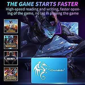 Somnambulist 2.5" Built-in SSD Hard Disk SATA3 120GB 240GB 60GB SSD (Blue Dragon-120GB)