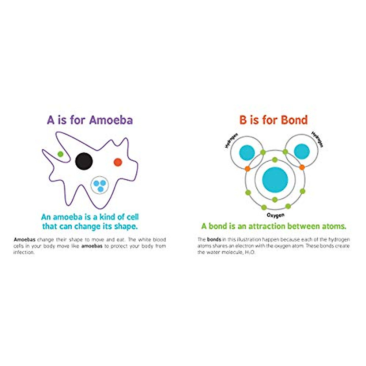 ABCs of Science: The Essential ABC Board Book of First STEM Words from the #1 Science Author for Kids (Science Gifts for Kids) (Baby University)