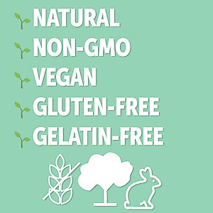 Red Yeast Rice 1200 mg Capsules with CoQ10 - Maintain Healthy Cholesterol Levels, Herbal Heart Health Vegan Red Yeast Rice Supplement - Red Rice Yeast with CoQ10 for Women & Men - 120 Ct (2-Pack)