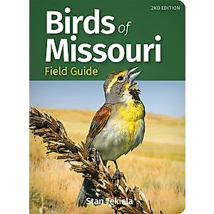 Birds of Missouri Field Guide (Bird Identification Guides)