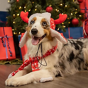 Huxley & Kent Pet Scarf | Red Fairisle (Medium) | Festive Christmas Holiday Accessory for Dogs/Cats | Holiday Pet Scarf Neckwear| Cute Fun Winter Pet Accessory