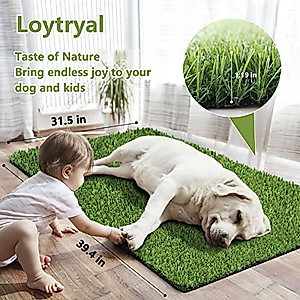 Loytryal 39.4 x 31.5 Inches Fake Grass Pee for Dogs Artificial Grass Rug Turf for Puppy Potty Training Washable Grass Mat Pee Grass for Dog Potty Tray