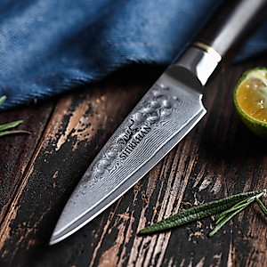 SHIRKHAN Damascus Paring Knife 3.5 Inch - Ultra Sharp Japanese Kitchen Fruit Knife - 67 Layers High Carbon Hand Hammered Steel Blade 10Cr15CoMoV - Ergonomic Ebony Wood Handle - Gift Box