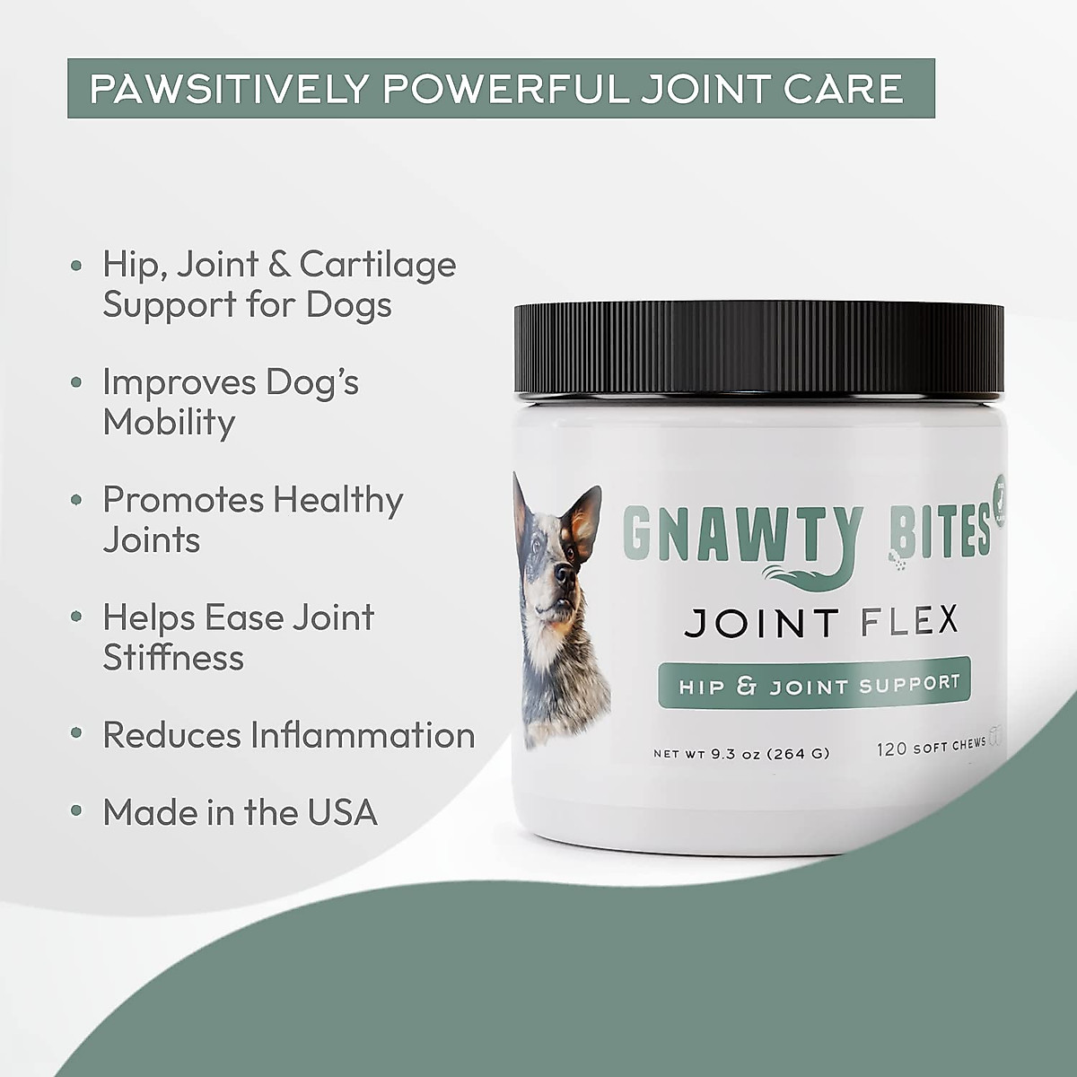 Gnawty Bites Joint Flex | Dog Hip & Joint Support Supplement for Mobility & Advanced Joint Health with Glucosamine Chondroitin MSM, Turmeric, Dog Joint Supplement,120 Soft Chews