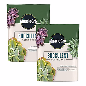 Miracle-Gro Succulent Potting Mix - Fertilized Soil with Premium Nutrition for Indoor Succulents, 4 qt. (2-Pack)