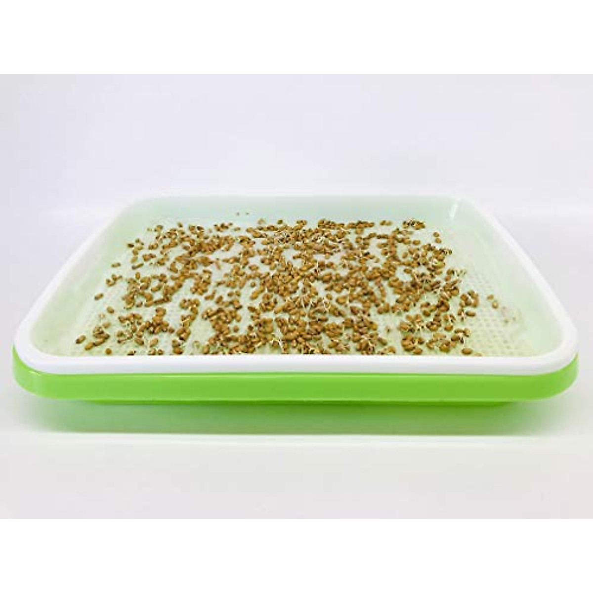 Pack of 150 pcs Germinating Growing Paper Seed Sprouter Vegetable Microgreens Planting Paper 7.8" x 11.4". Fit for Plant Germination Tray (13.4"x 9.8") Trays NOT Included