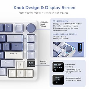 RK ROYAL KLUDGE M75 Mechanical Keyboard with OLED Smart Display and Volume Knob, 2.4G/USB-C/BT Gasket Mounted 75% Layout Wireless Gaming Keyboard with 81 Keys, RGB Backlit Hot-Swappable Brown Switch